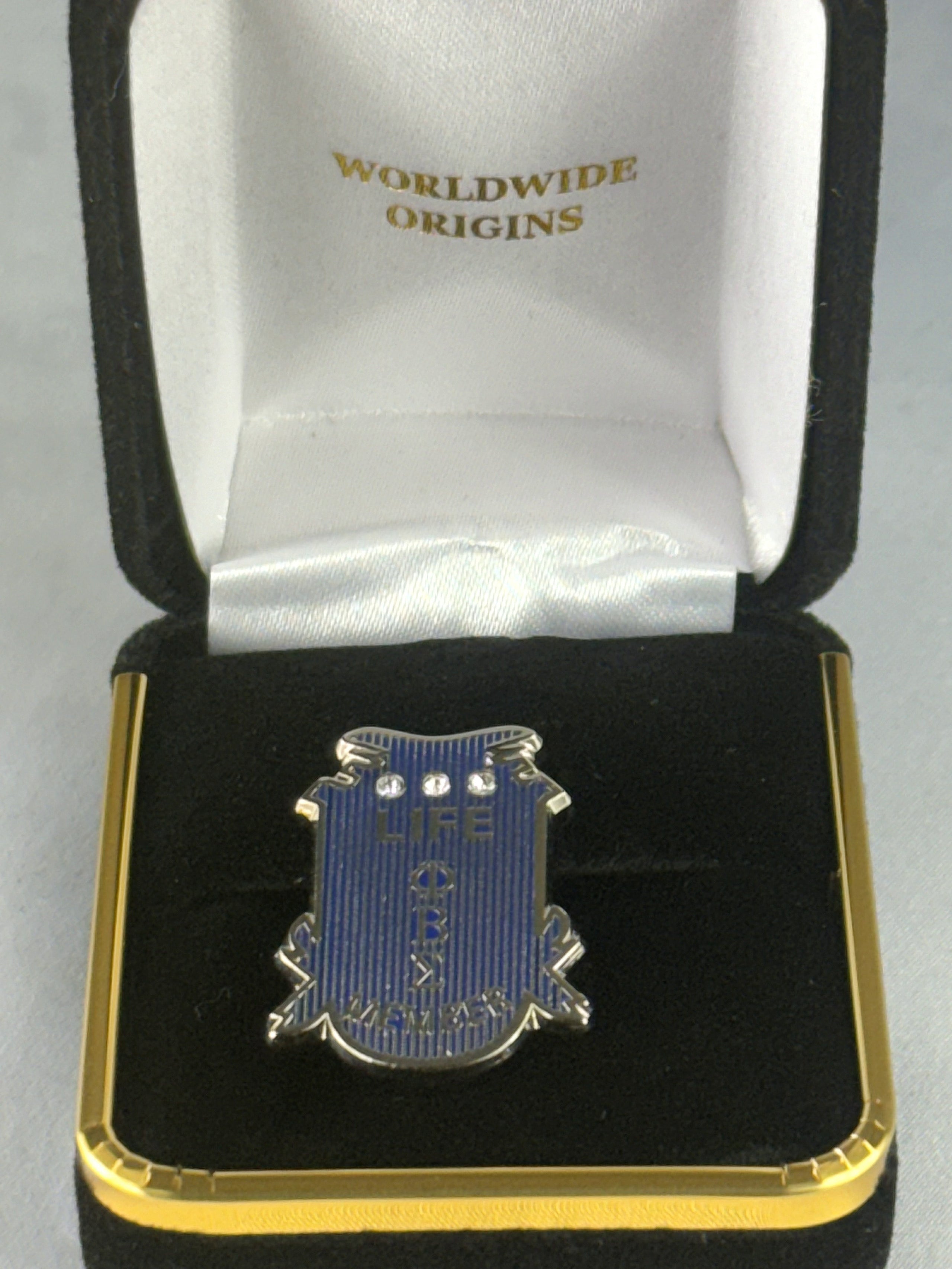 Pbs Silver & Blue Stone Life Member Lapel Pin – Worldwide Origins